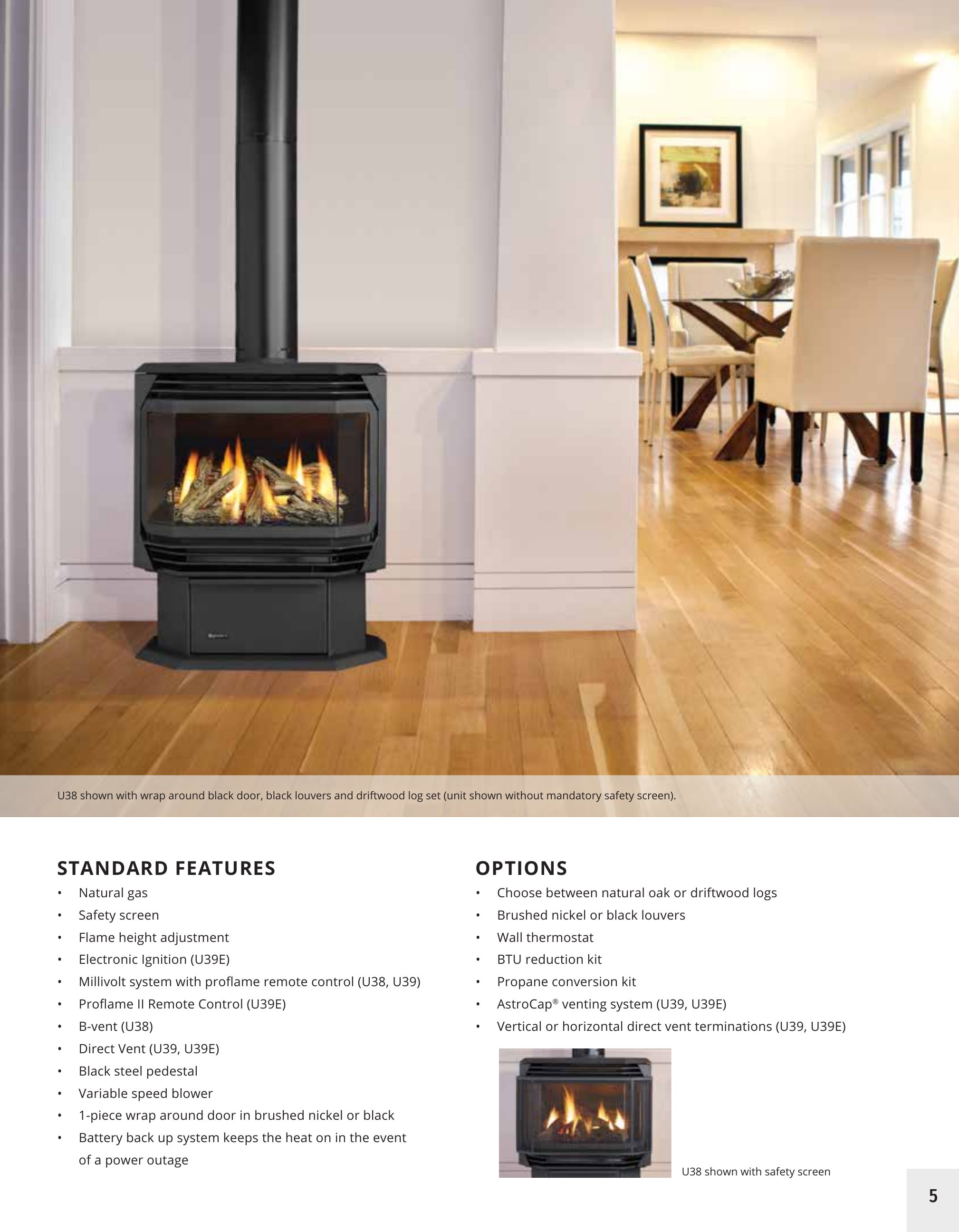 Regency Fireplace Products, Catalogs, Gas Stoves | ARCAT
